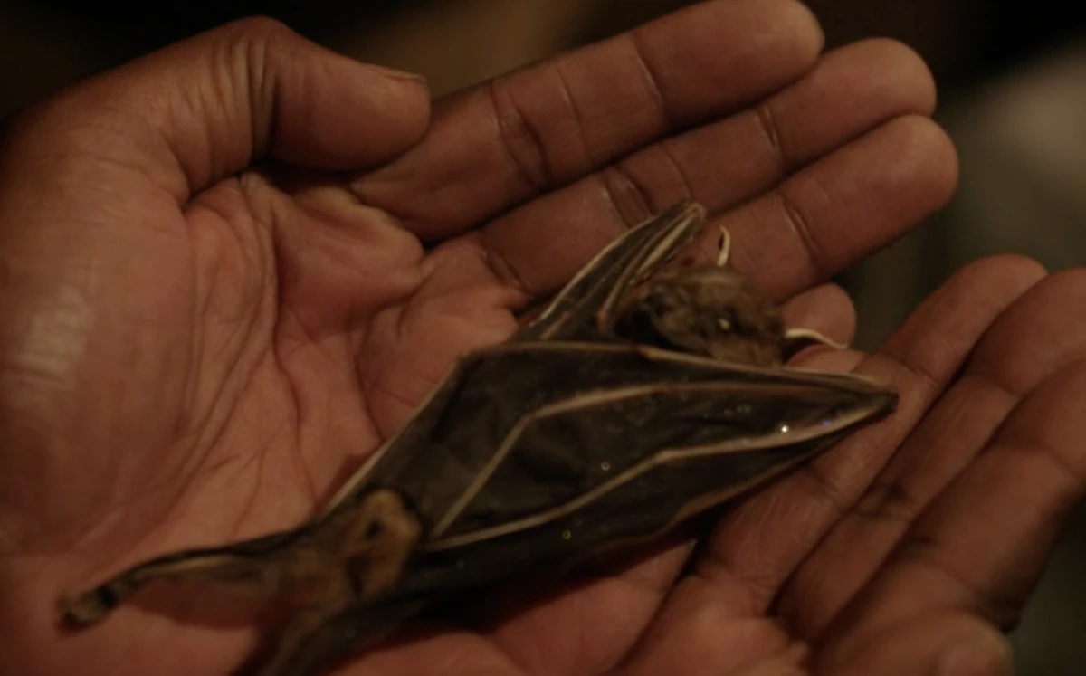 Thomas Owen | Young Dracula Wiki | Fandom