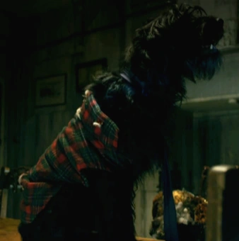 Werewolf | Young Dracula Wiki | Fandom
