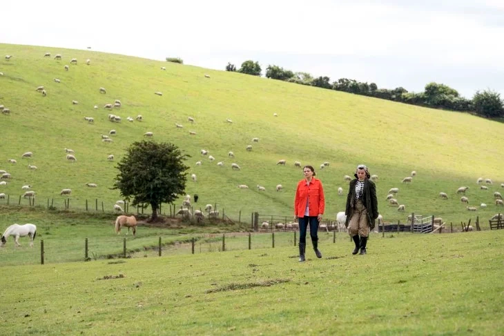 Balade irlandaise | Wikia Younger | Fandom