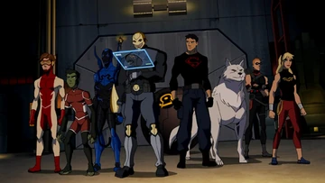 Young Justice Characters Bio Impulse