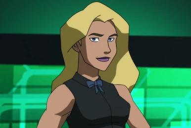 Jeune Justice Shimmer Category:Shimmer Images | Young Justice Wiki