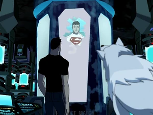 Project Match | Young Justice Wiki | Fandom