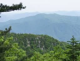 Iga Mountains | Young Samurai Wiki | Fandom