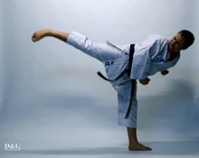 Ushiro-geri | Young Samurai Wiki | Fandom