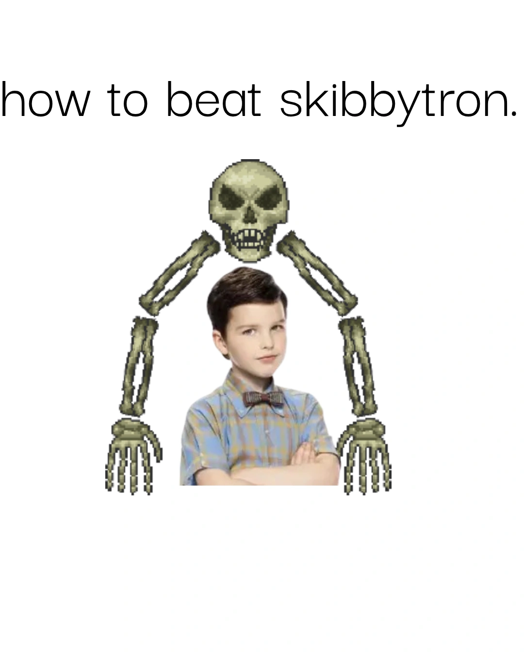 Young sheldon's guide to the skeletron fight | Young Sheldon Head ...