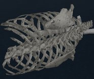 Rib Cage of the Saint's Corpse | Your Bizarre Adventure Wiki | Fandom
