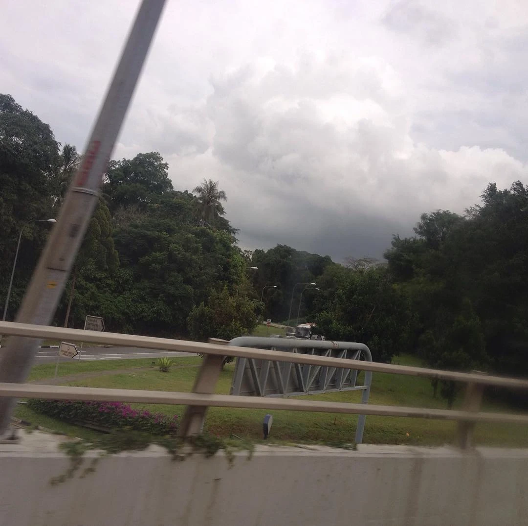 Seletar Expressway | YourStudent Gemini Wiki | Fandom