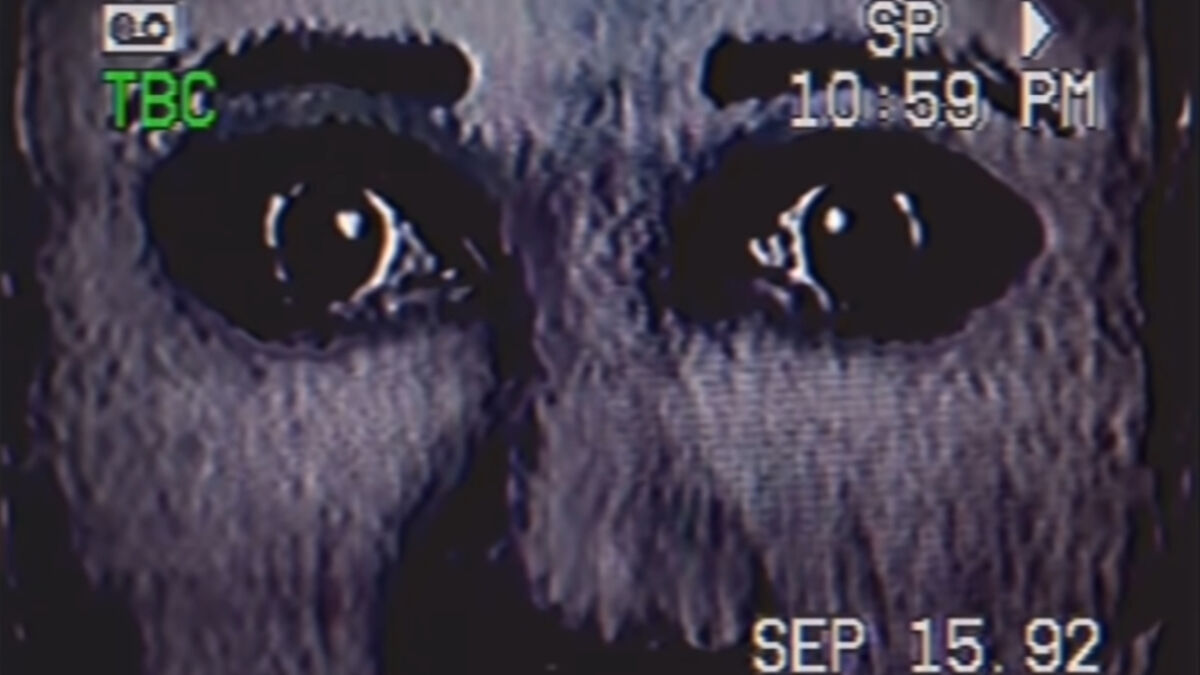 Analog horror | YouTube Horror Wiki | Fandom Analog horror | YouTube Horror Wiki | Fandom