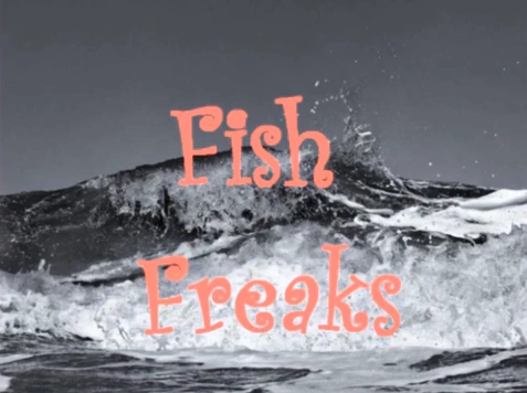 Fish Freaks | Youtube Mermaid Shows Wiki | Fandom