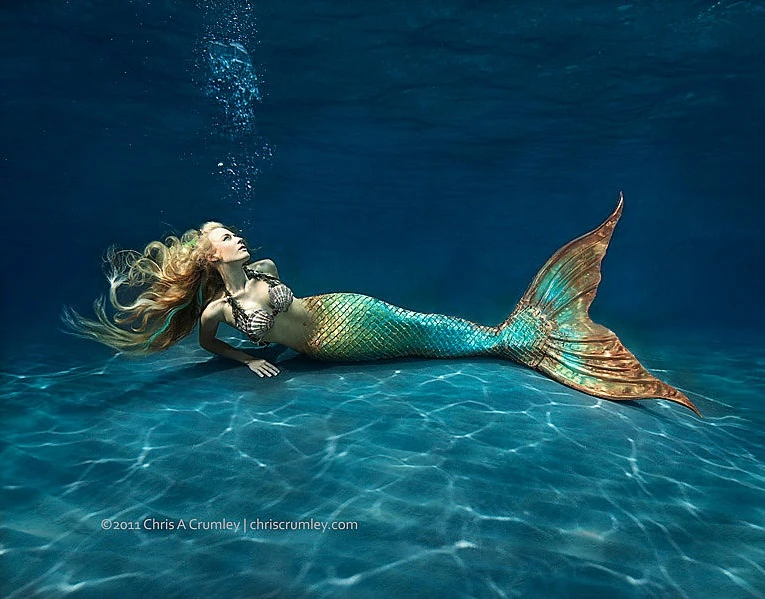 Mermaids (Species) | Youtube Mermaid Shows Wiki | Fandom