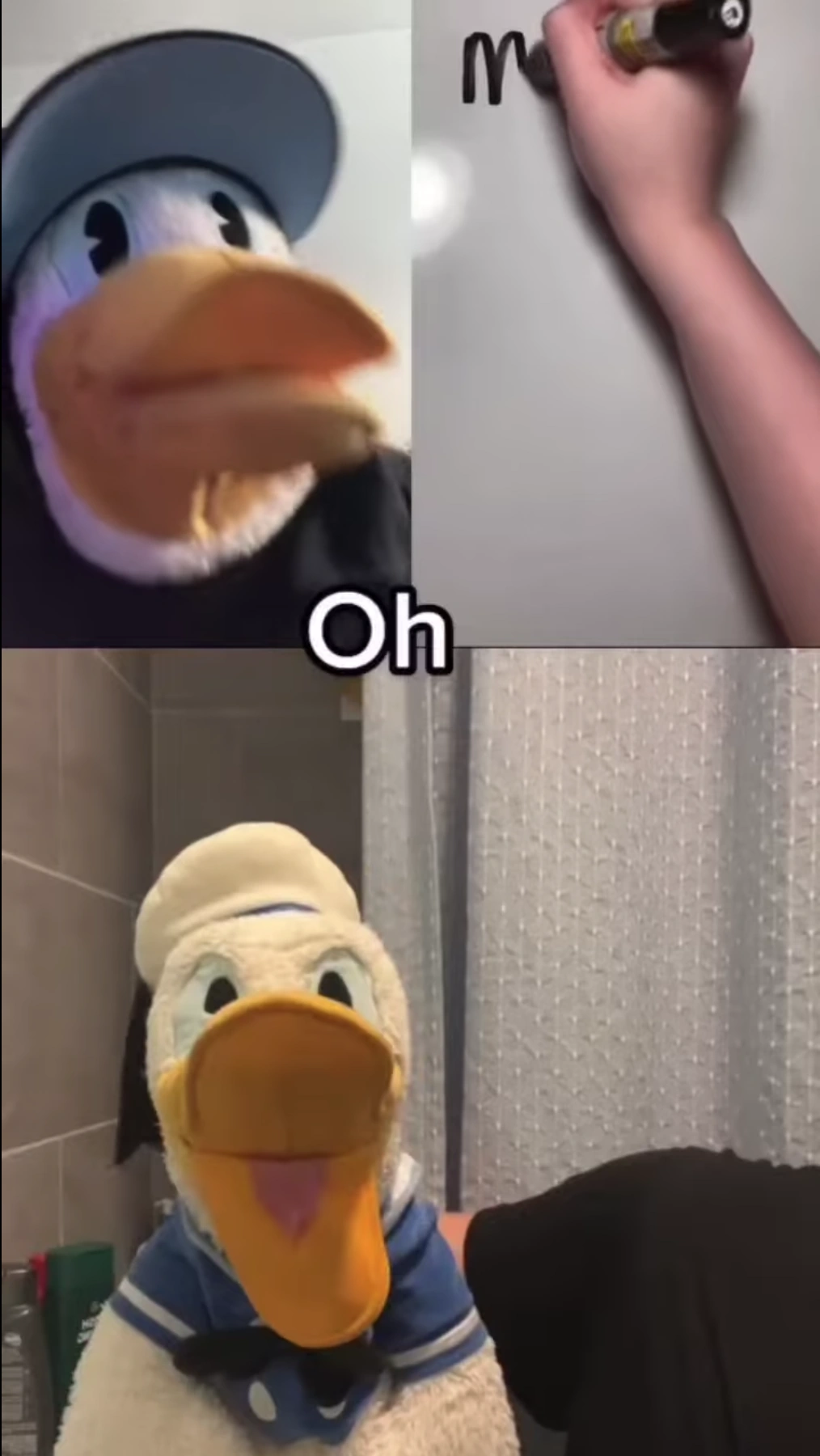 Donald Ducc Still Doesn't Like Donald | Youtube Videos Wiki | Fandom