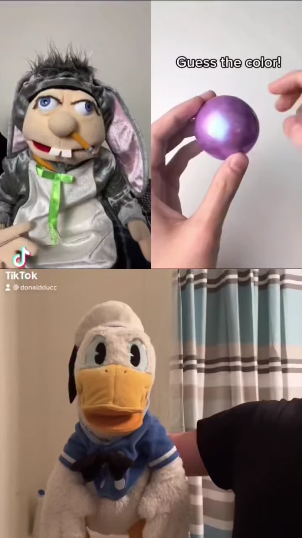 Donald Ducc Doesn't Like Jeffy | Youtube Videos Wiki | Fandom