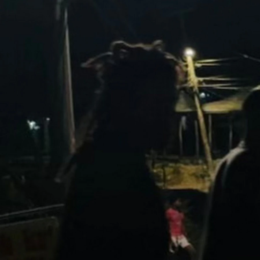 J. Cole | Wikitubia | Fandom