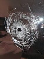 ProsafiaGaming | Wikitubia | Fandom