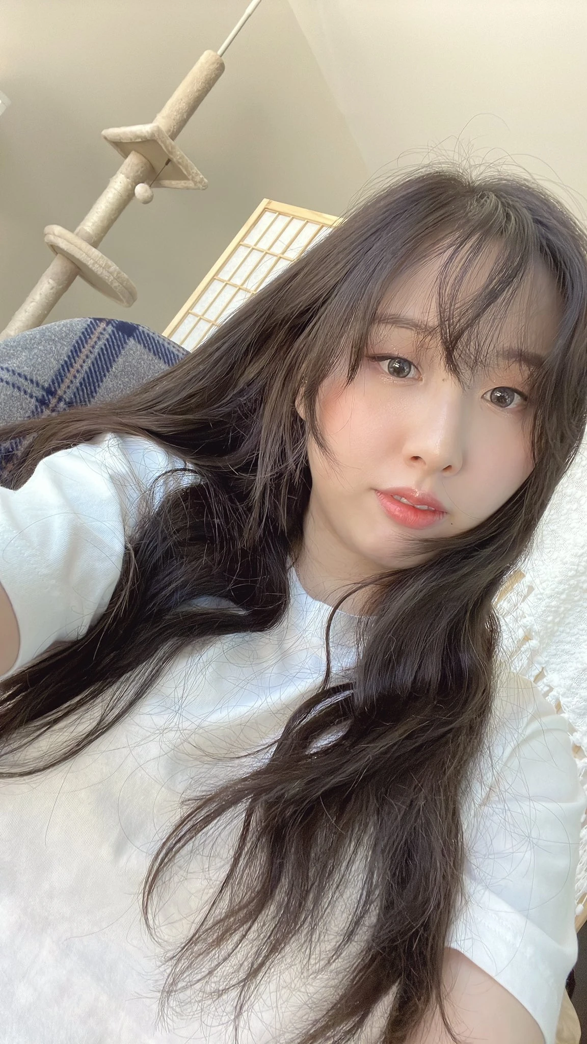 starsmitten | Wikitubia | Fandom