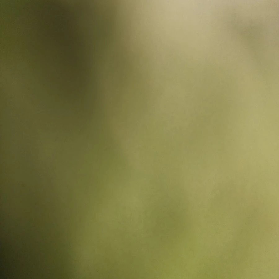 Doctor Comedy | Wikitubia | Fandom