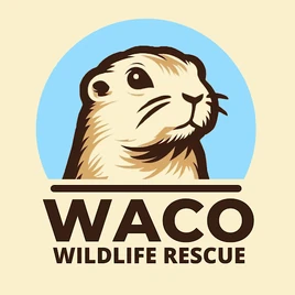The Urban Rescue Ranch | Wikitubia | Fandom