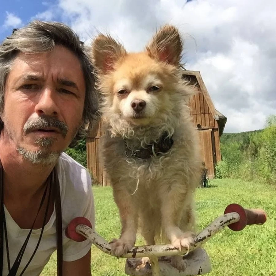 Peter Caine Dog Training | Wikitubia | Fandom