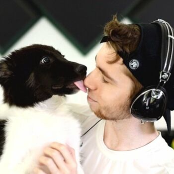 PeteZahHutt | Wikitubia | Fandom