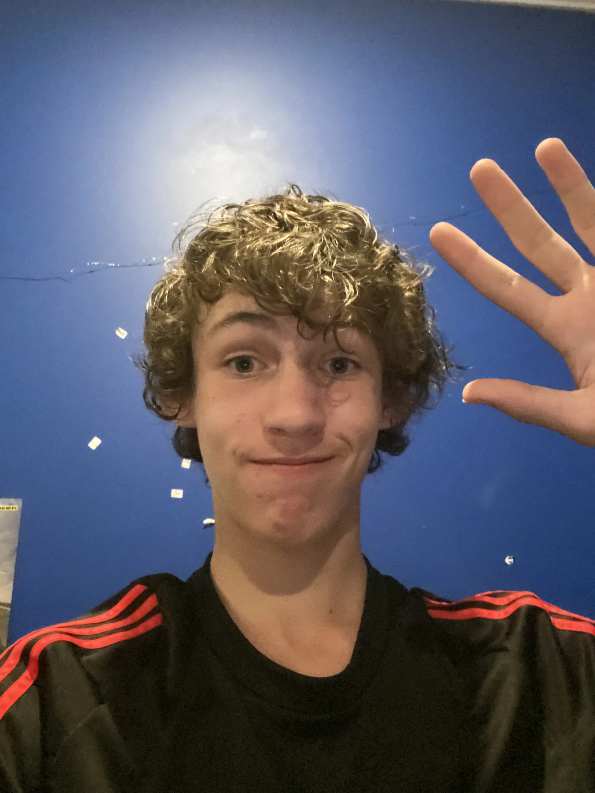 Dan117MC | Minitubia | Fandom