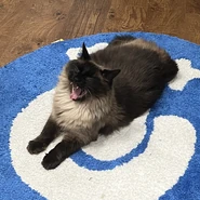 Professor Lando | Wikitubia | Fandom