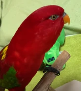 Hideaki Utsumi | Wikitubia | Fandom