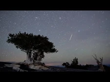 Long Now Foundation | Wikitubia | Fandom