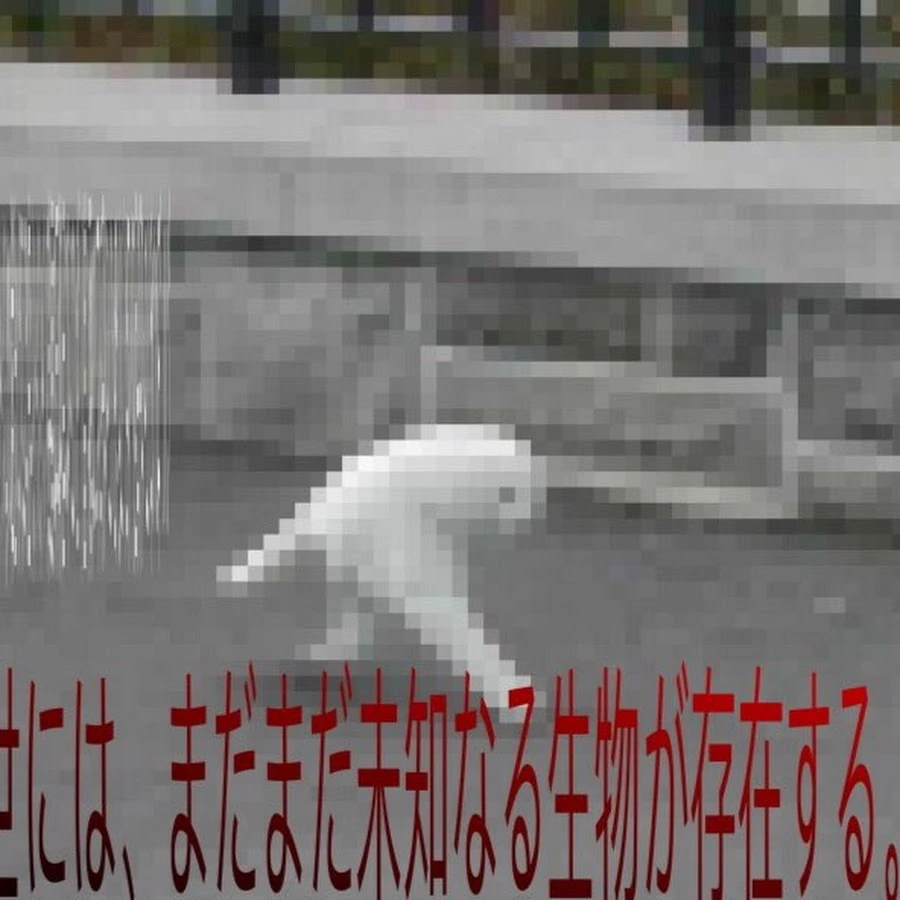 NINE-UP | Wikitubia | Fandom