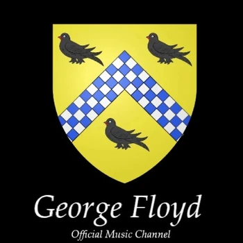 George Floyd | Wikitubia | Fandom
