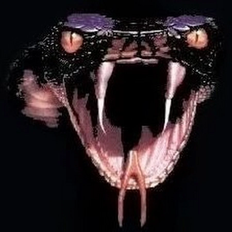 CapoBastone | YouTube Wiki | Fandom