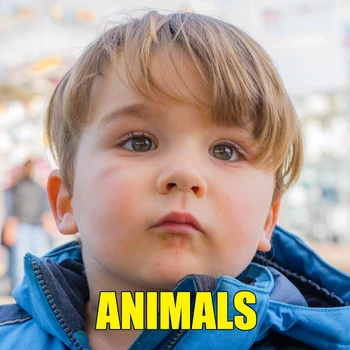 Kiddopedia | Wikitubia | Fandom