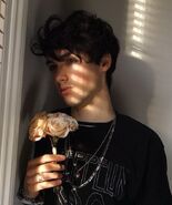 Spifey | Wikitubia | Fandom