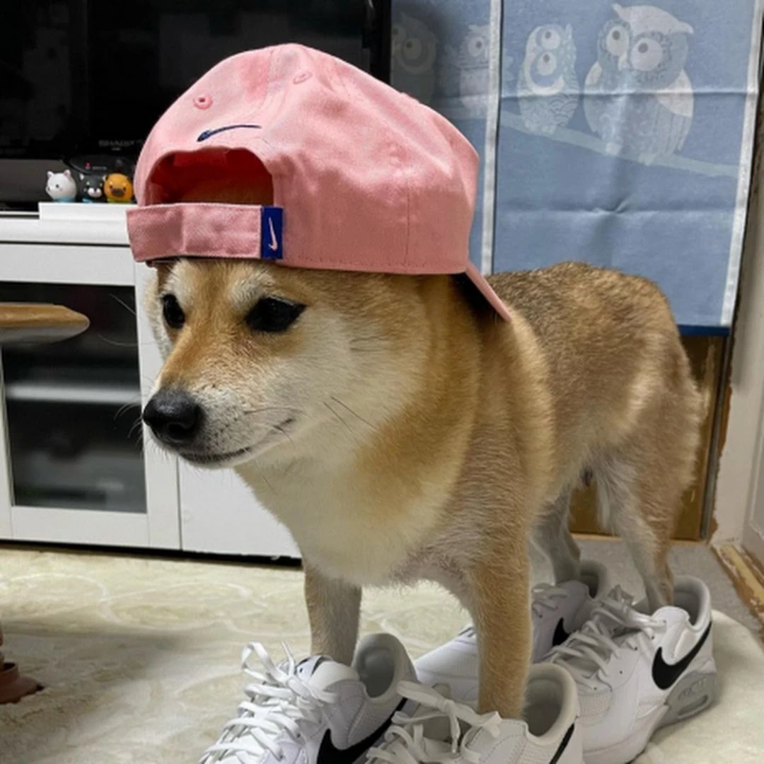 Micspy | Wikitubia | Fandom