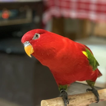 Hideaki Utsumi | Wikitubia | Fandom