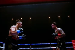 Jarvis | Wikitubia | Fandom