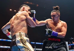 Jarvis | Wikitubia | Fandom