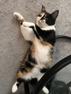 Zepla HQ | Wikitubia | Fandom