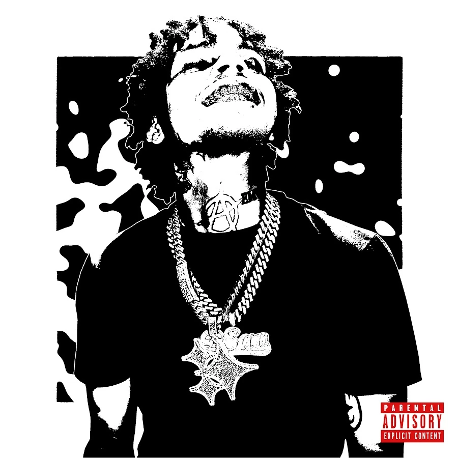 D Savage | Wikitubia | Fandom