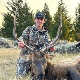 Daquavis | Wikitubia | Fandom