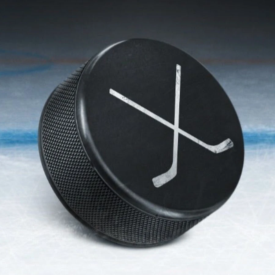 What The Puck! | Wikitubia | Fandom