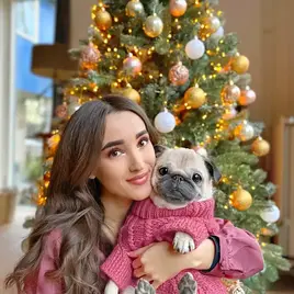 Loulou the Pug | Wikitubia | Fandom