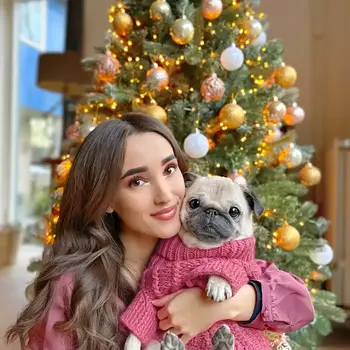Loulou the Pug | Wikitubia | Fandom