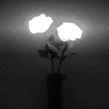 Fe4RLess | Wikitubia | Fandom