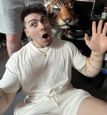 Softwilly | Wikitubia | Fandom