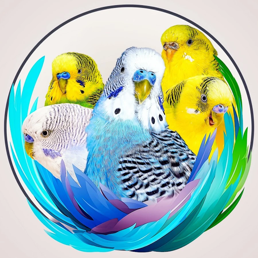 Alen AxP | Wikitubia | Fandom