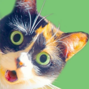 Slivki Show DE | YouTube Wiki | Fandom