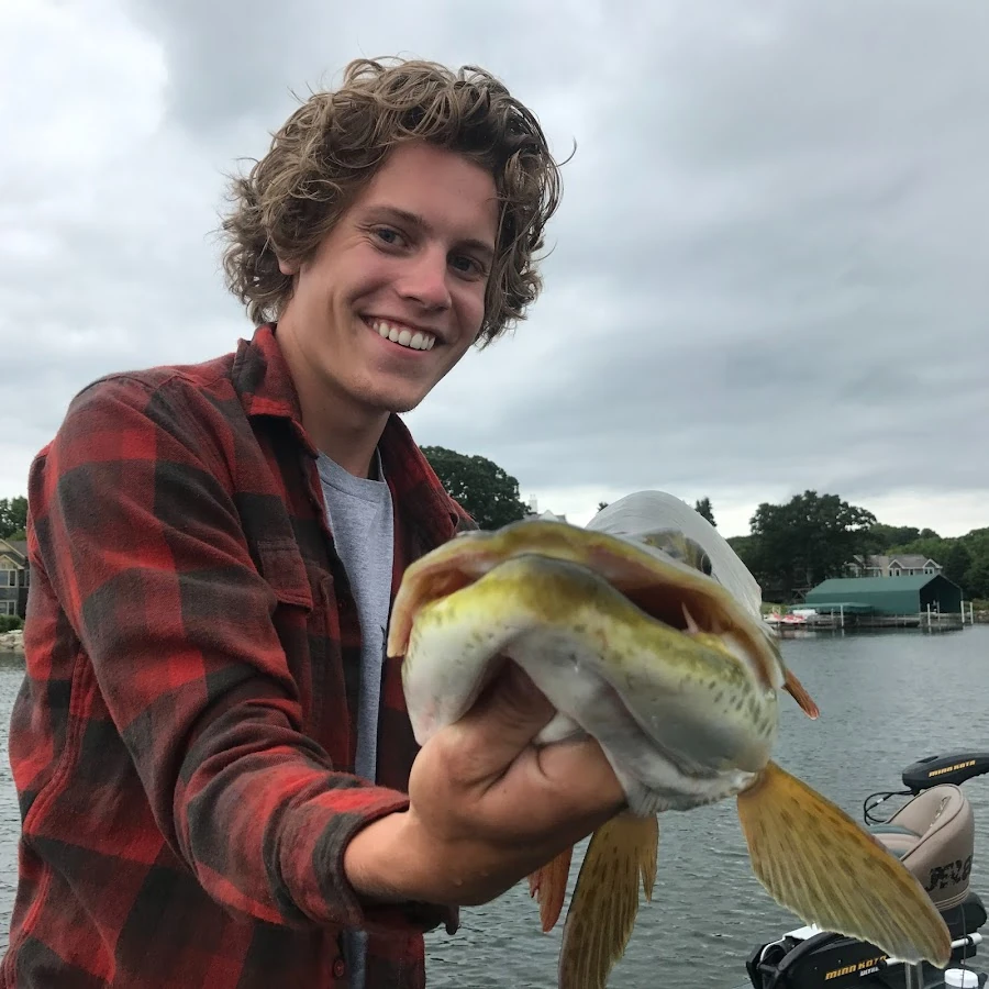 Mav | Wikitubia | Fandom