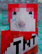 ExplodingTNT | Wikitubia | Fandom