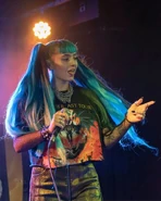 Ashnikko | Wikitubia | Fandom