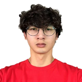 ElevenZ | Wikitubia | Fandom